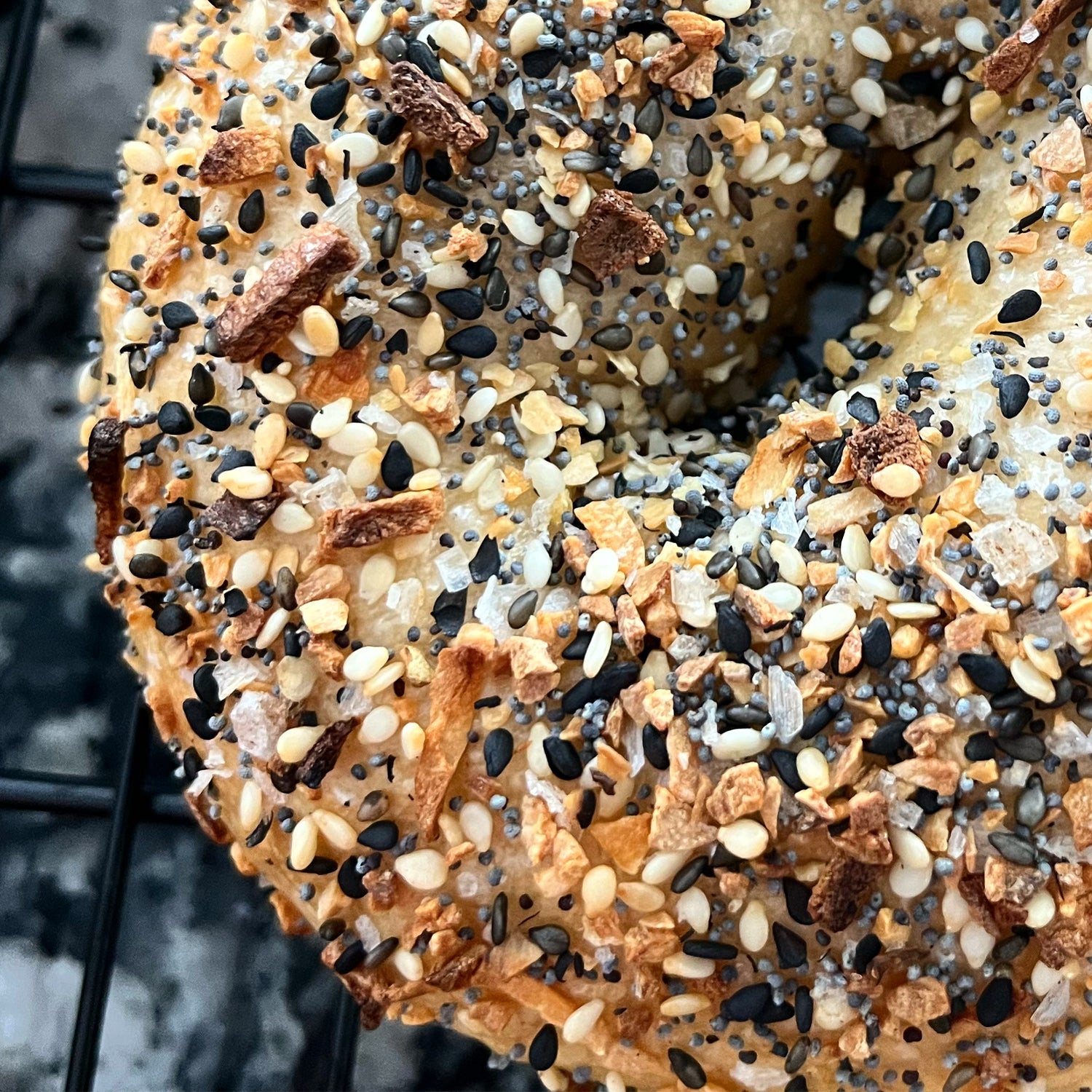 Mogi Bagel